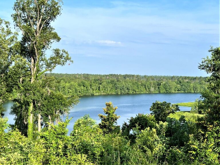 Brian Philpot, CEO of AgAmerica Lending lists 5,746-Acre Historic ...