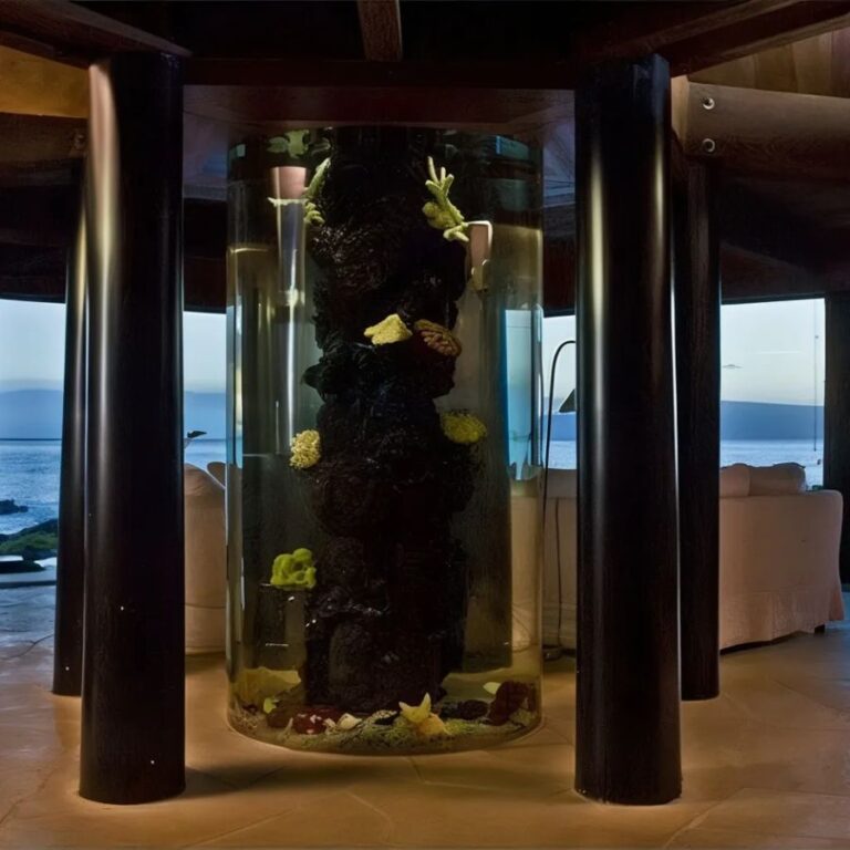 Steven Tyler’s $8.4M Maui Paradise: A Hawaiian Retreat of Coastal ...
