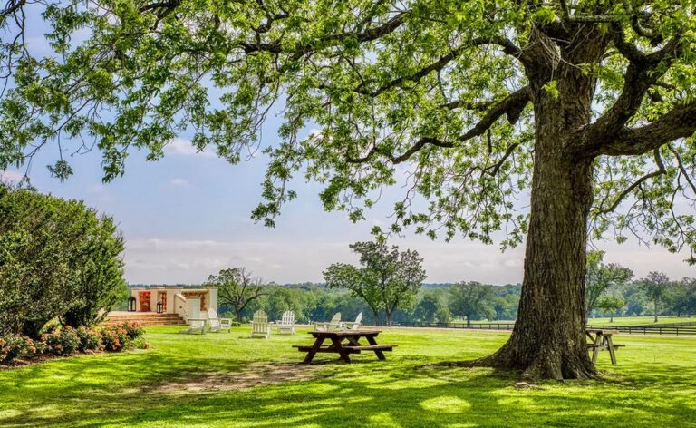 Inside Drake’s $15 Million Texas Ranch: A 313-Acre Private Oasis ...